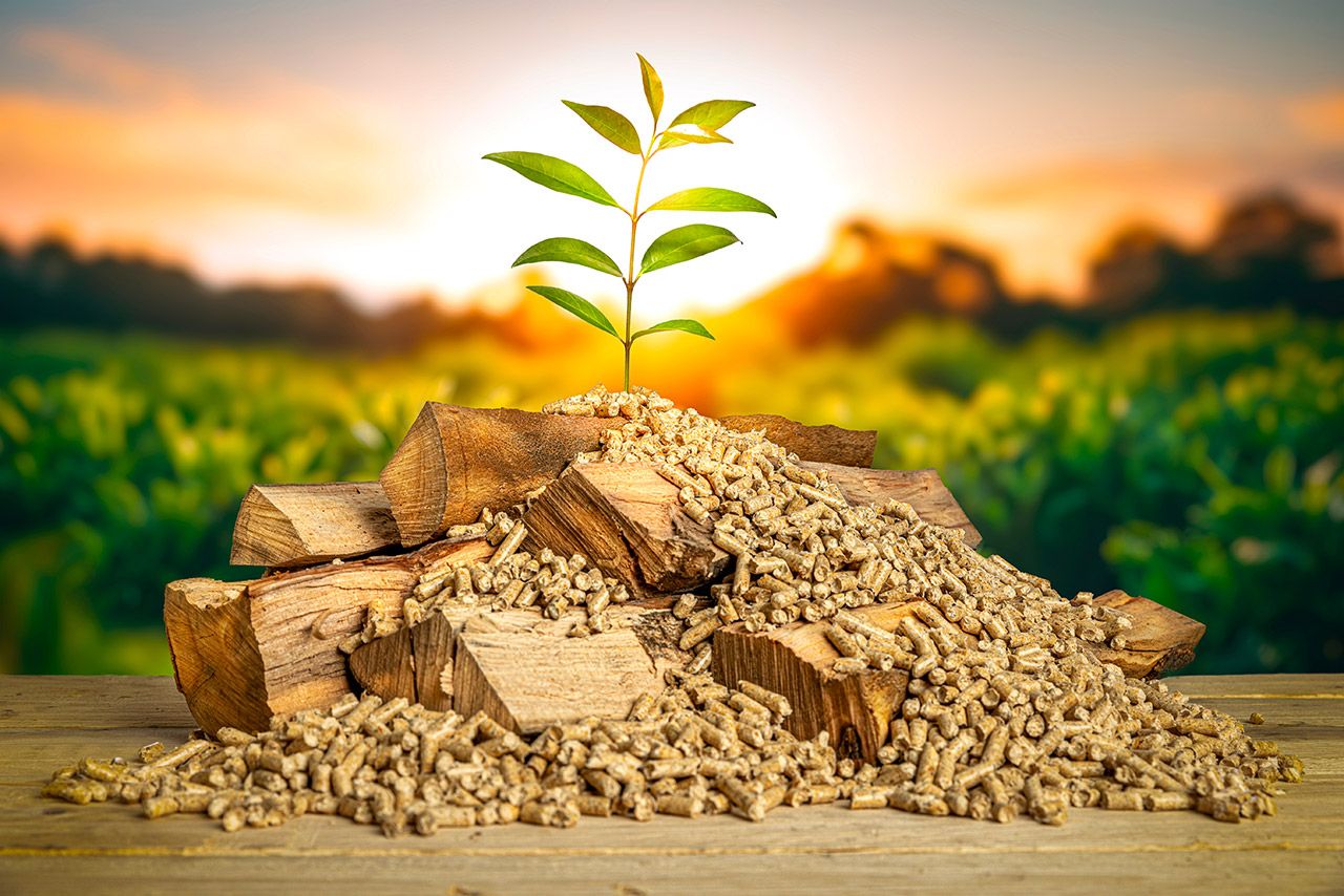 RG Pellets : Les Pellets au Service de l’Écologie Énergétique | Prix Pellet