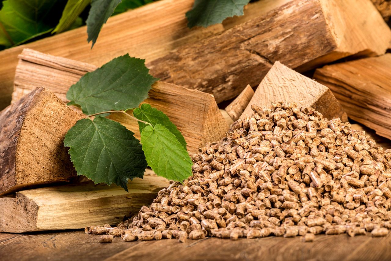 Une immersion totale dans l'univers du pellet